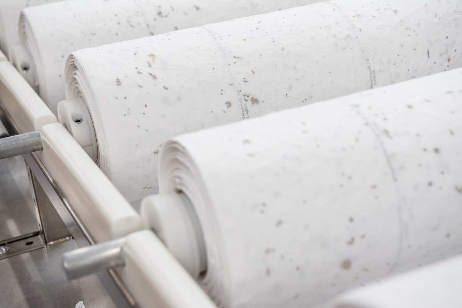 Seed paper – CorthoGreen